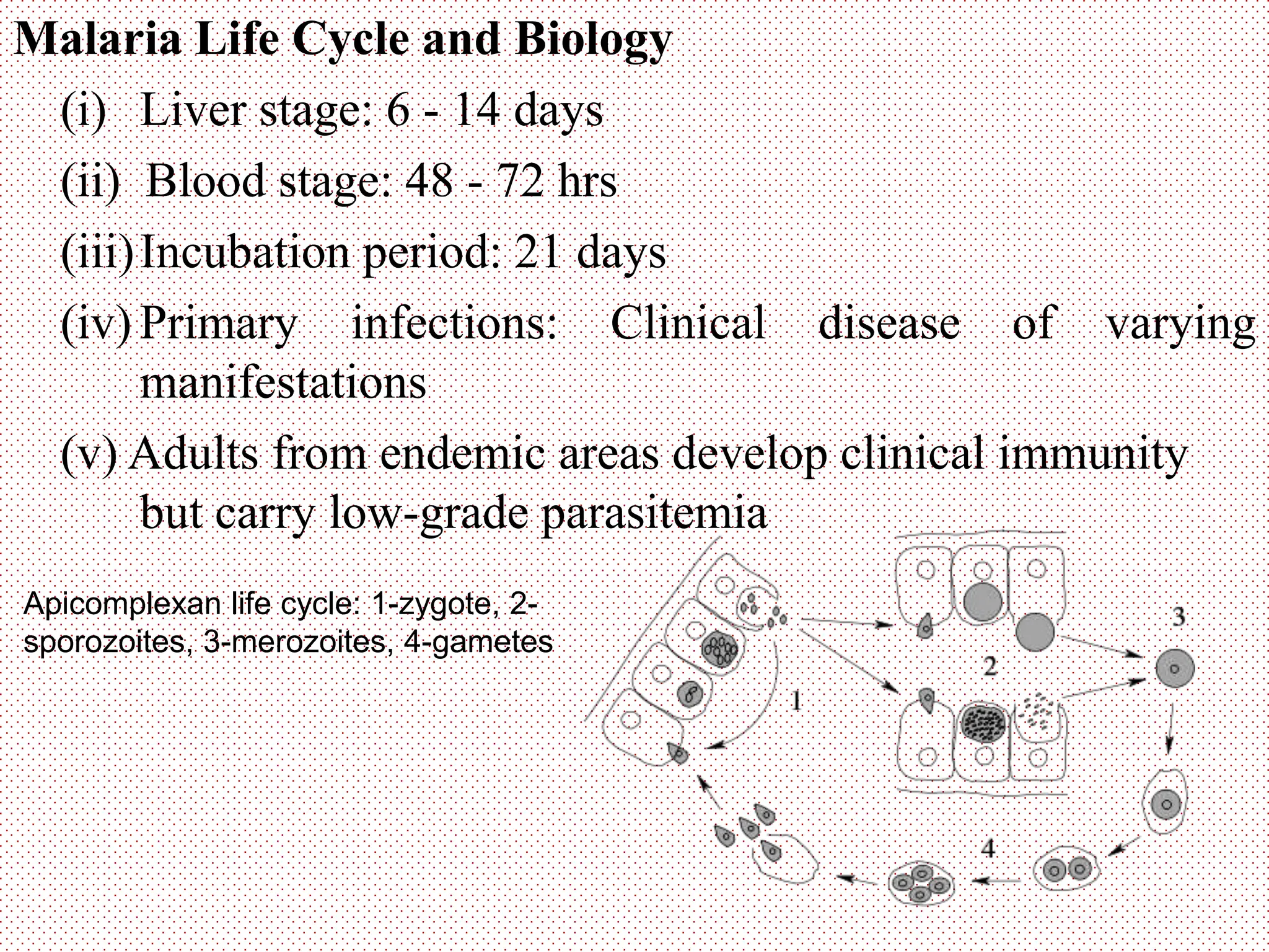 zly201-notebiology-of-plasmodium-parasites.ppt