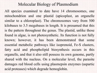 zly201-notebiology-of-plasmodium-parasites.ppt