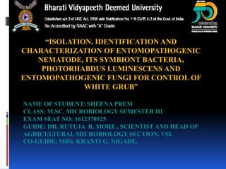 4068 isolation, identification and characterization of entomopathogenic | PPTX