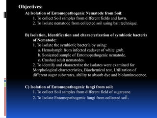 4068 isolation, identification and characterization of entomopathogenic | PPTX