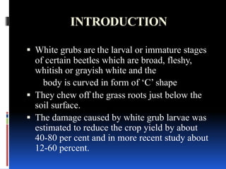 4068 isolation, identification and characterization of entomopathogenic | PPTX