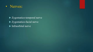 Zmc fractures part 1 | PPTX