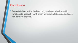 Endosymbiotic bacteria | PPTX