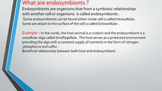 Endosymbiotic bacteria | PPTX