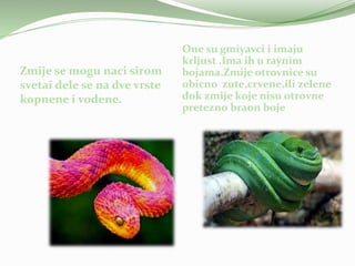 Zmije | PPTX