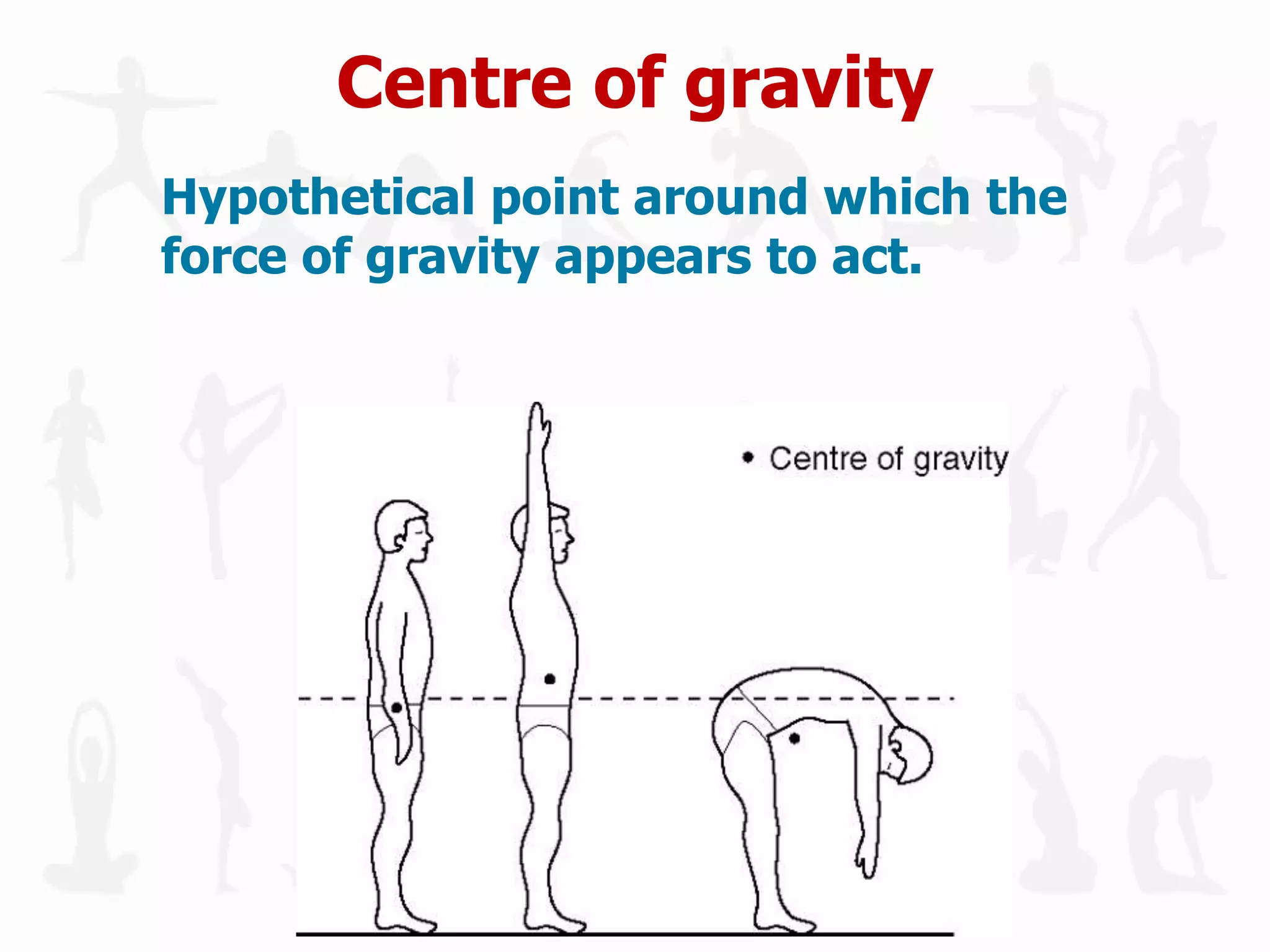Lower limb anatomy of standing, sitting, walking, running, jumping etc ...