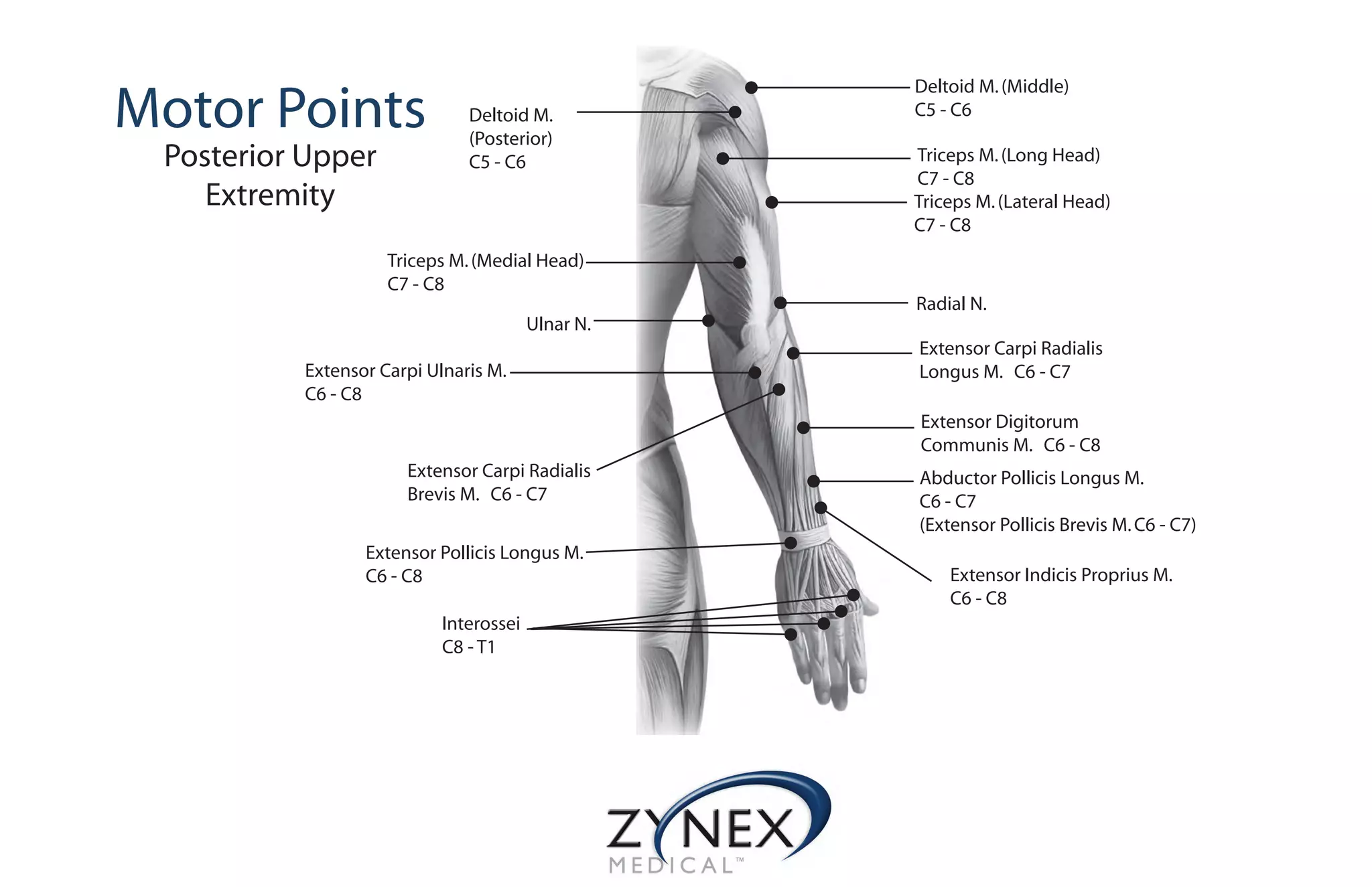 ZMPCZM016000.12.16 Electrode placement & Protocol Guidelines | PDF