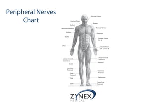 ZMPCZM016000.12.16 Electrode placement & Protocol Guidelines | PDF
