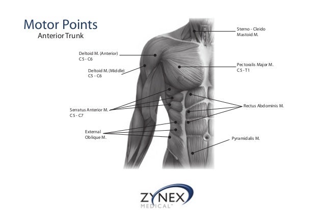 ZMPCZM016000.12.16 Electrode placement & Protocol Guidelines