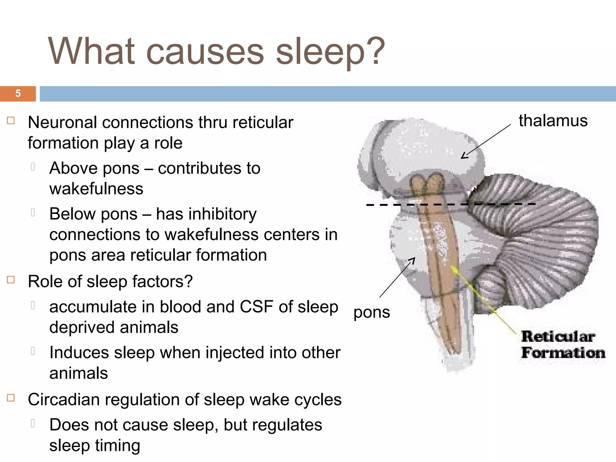A brief intro into the science of sleep | PPT