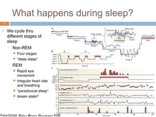 A brief intro into the science of sleep | PPT