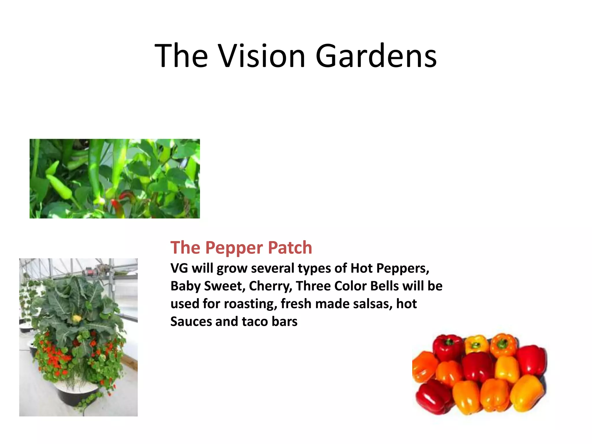 ZMS Vision Gardens II | PPTX