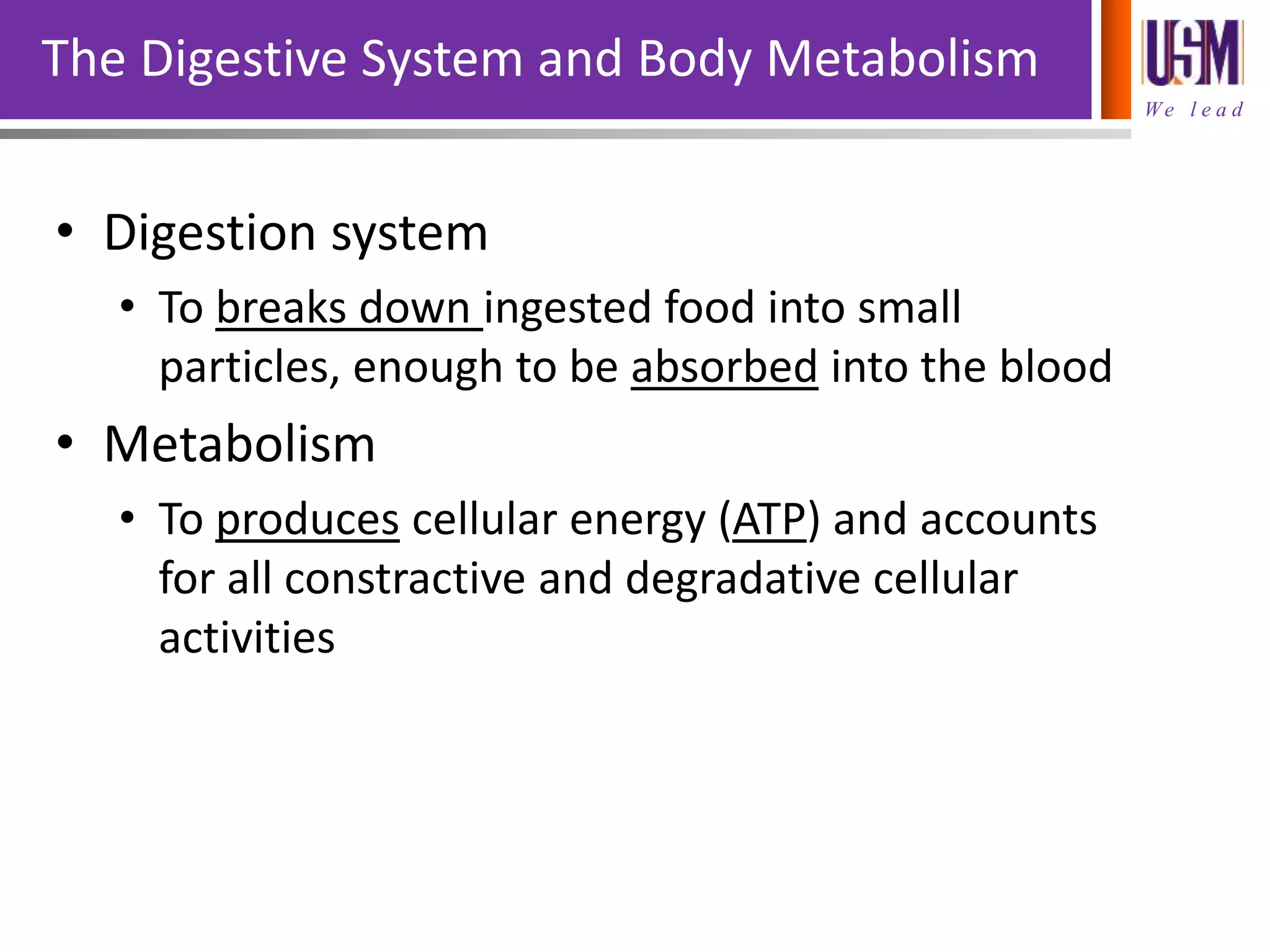 ZMT 231 - DIGESTIVE SYSTEM.pptx