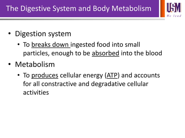 ZMT 231 - DIGESTIVE SYSTEM.pptx