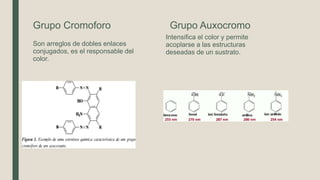 Efecto de-los-colorantes-sobre-el-crecimiento-de los microorganismos | PPTX