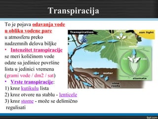Značaj vode za život biljaka | PPT