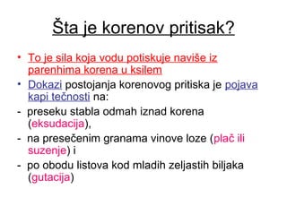 Značaj vode za život biljaka,transpiracija i fotosinteza | PPT