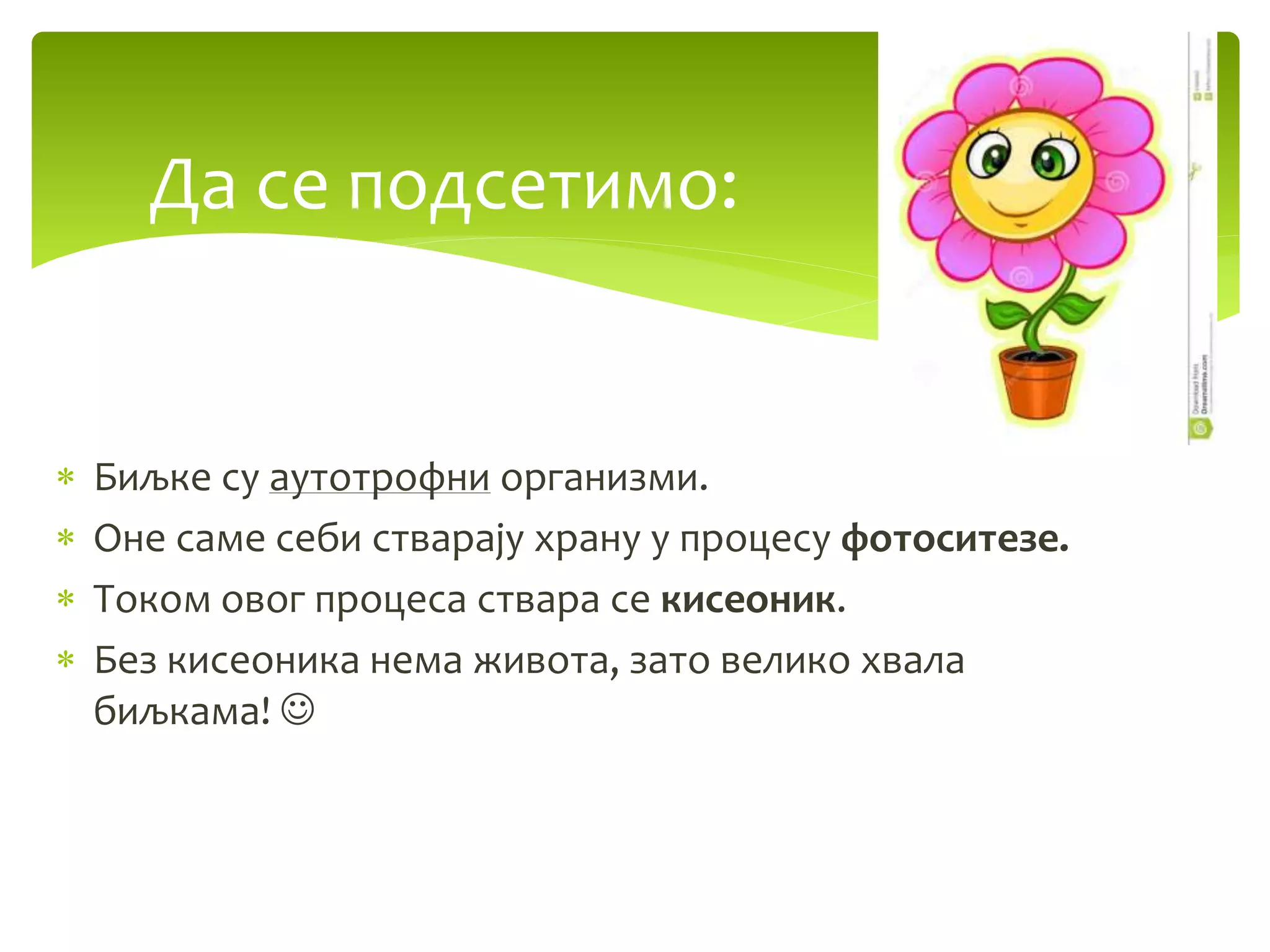 Znacaj biljaka za coveka | PPTX