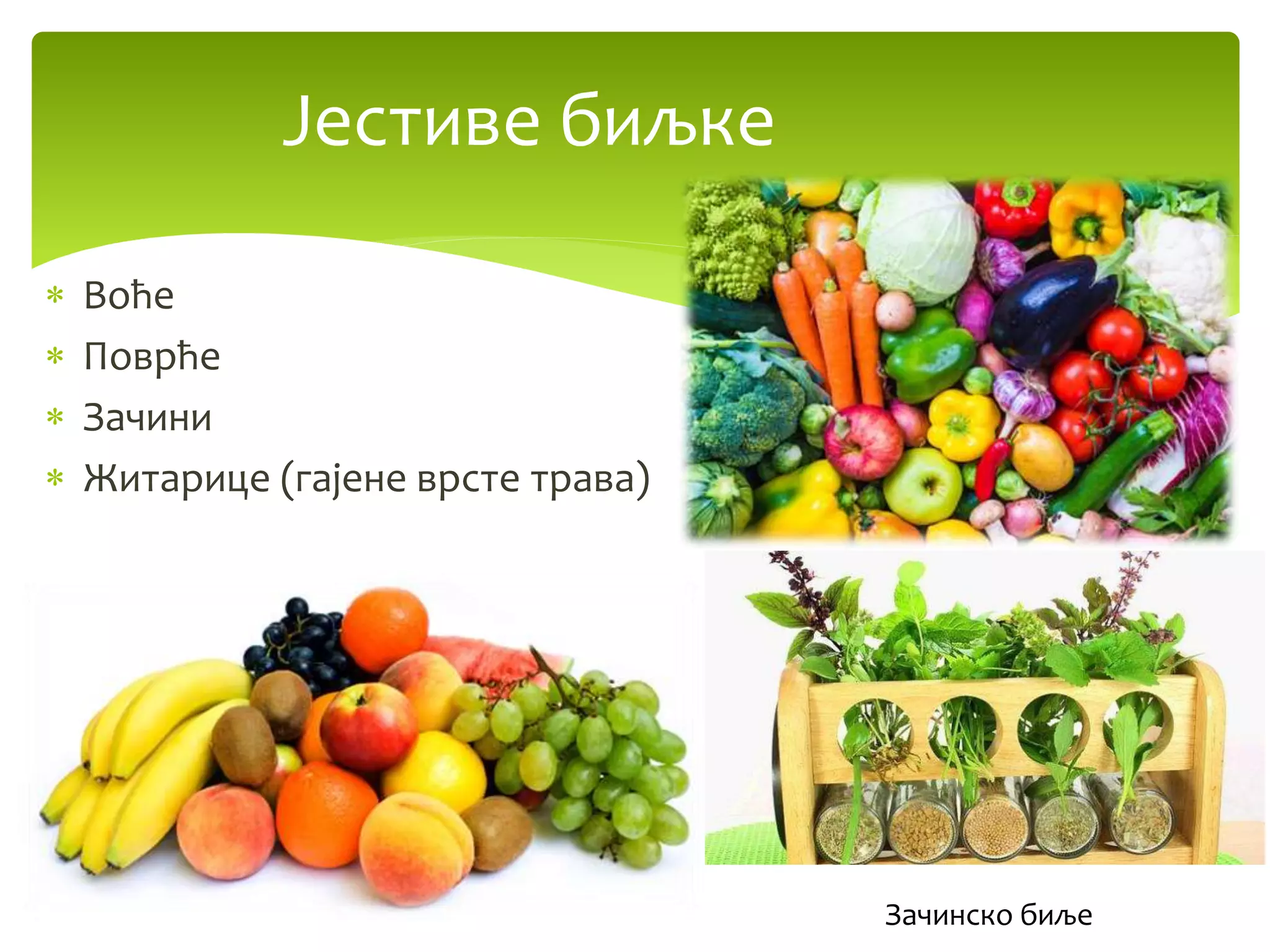 Znacaj biljaka za coveka | PPTX