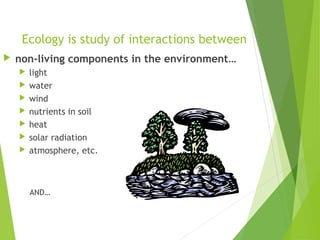 What is Ecology? & Producers and Consumers | PPT | Biological Sciences ...