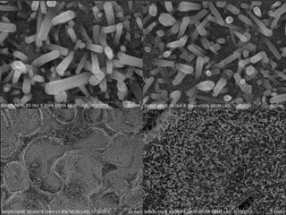 Zno tio2 coreshell | PPT