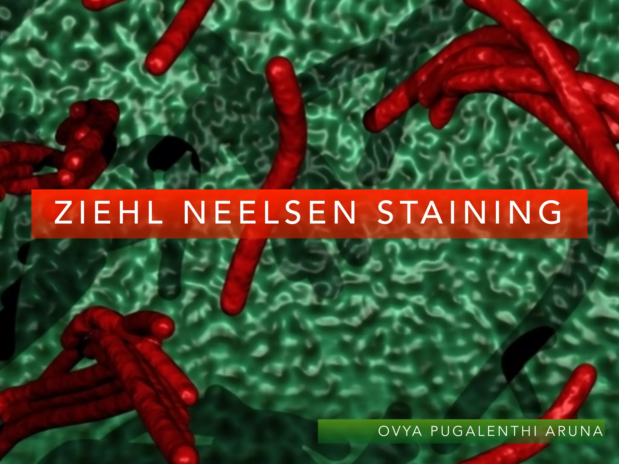 Ziehl neelsen staining | PPT