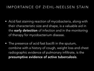 Ziehl neelsen staining | PDF