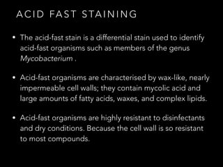Ziehl neelsen staining | PDF