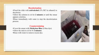 Ziehl-Neelsen Stain: Principle, Procedu. | PDF