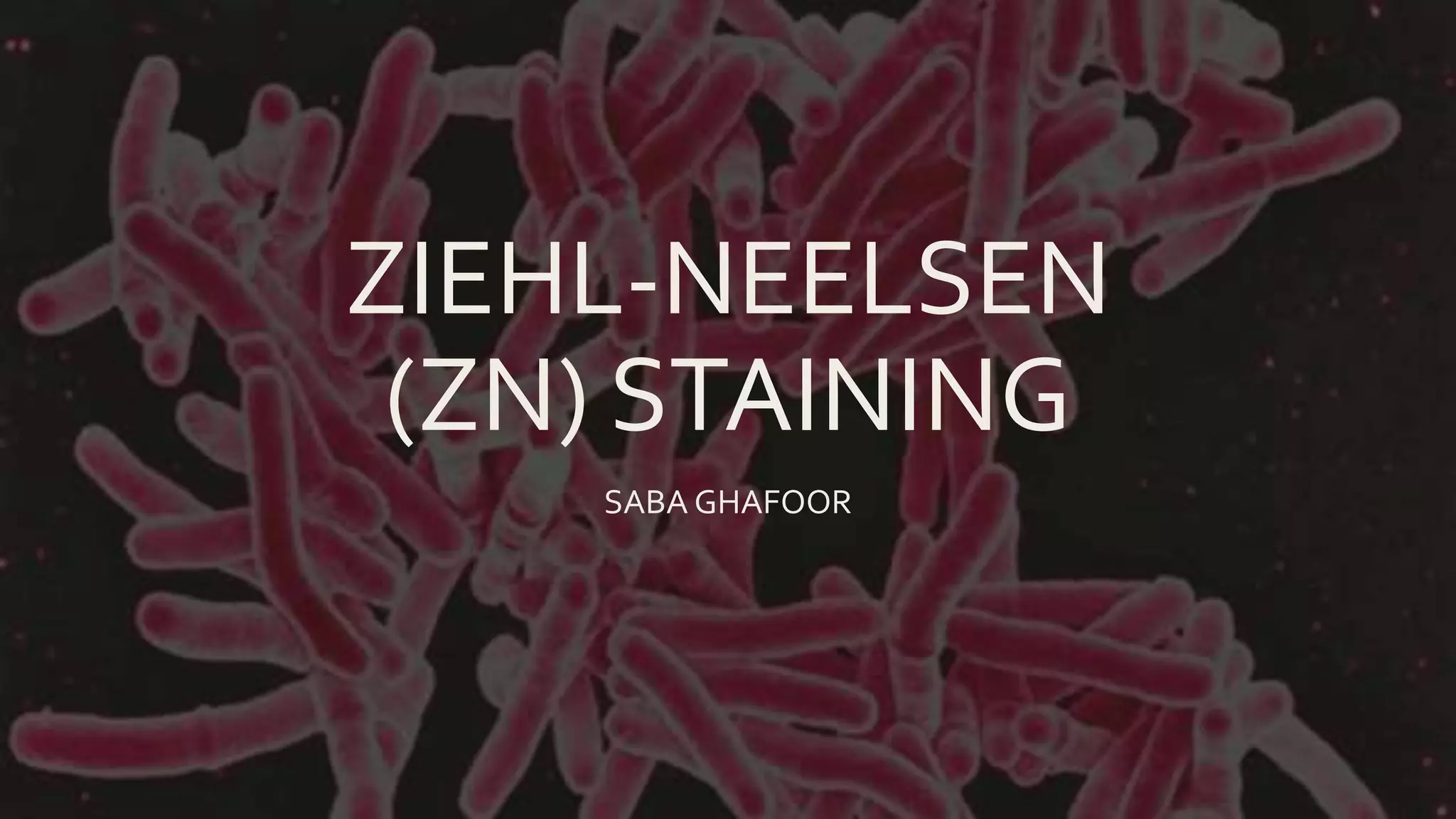 ZN staining | PPTX