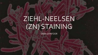 ZN staining | PPTX