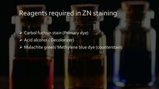 ZN staining | PPTX