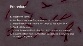 ZN staining | PPTX
