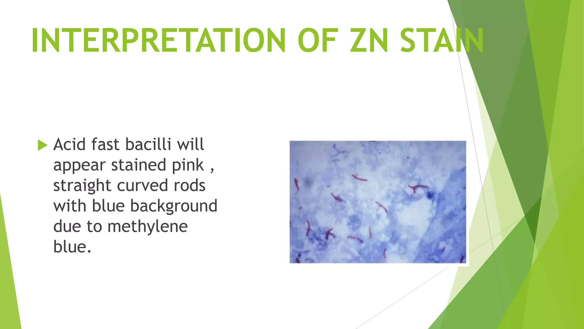 Ziehl Neelsen staining | PPT