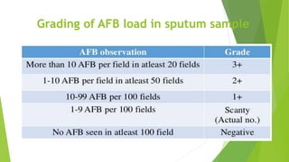 Ziehl Neelsen staining | PPT