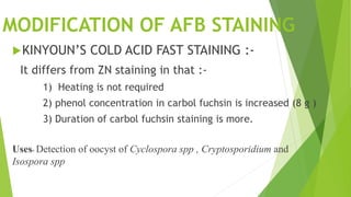 Ziehl Neelsen staining | PPT
