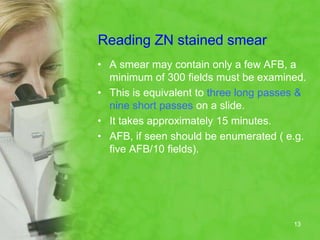 Ziehl–Neelsen staining for medical students | PPTX