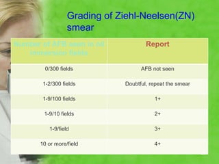 Ziehl–Neelsen staining for medical students | PPTX