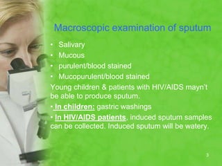 Mucopurulent Sputum Sample