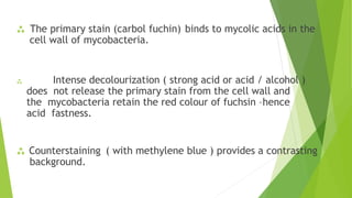 Zn Staining , morphology and different types. | PPTX