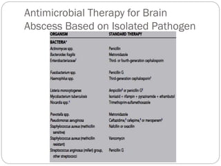 Brain abscess and it course of treatment | PDF