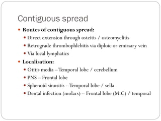 Brain abscess and it course of treatment | PDF