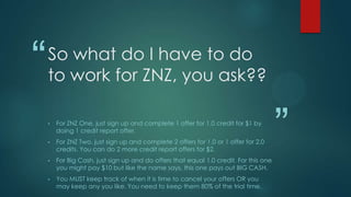 ZNZ ~ work from home and get paid!! | PPTX | Government Support and ...