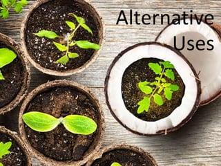 Alternative Uses | PPTX
