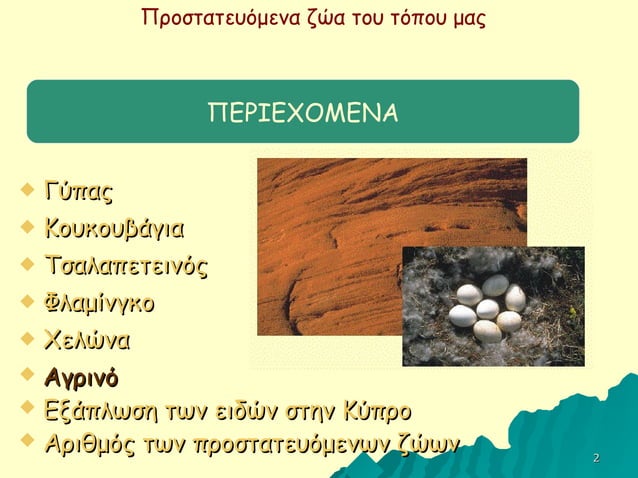 Προστατευόμενα ζώα της Κύπρου | PPT