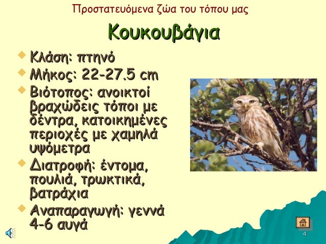 Προστατευόμενα ζώα της Κύπρου | PPT