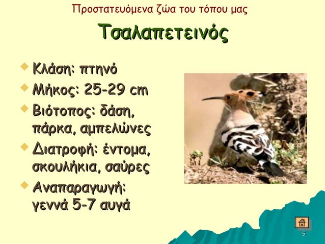 Προστατευόμενα ζώα της Κύπρου | PPT