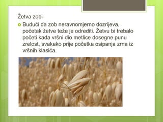 Zob | PPTX