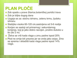Zob | PPTX