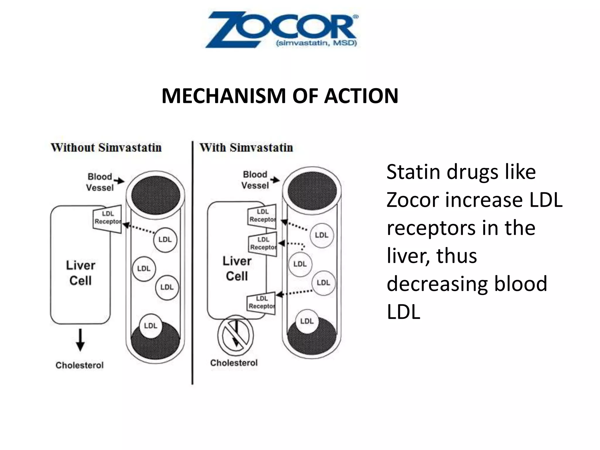 Zocor product monograph | PPTX | Heart and Cardiovascular Diseases ...
